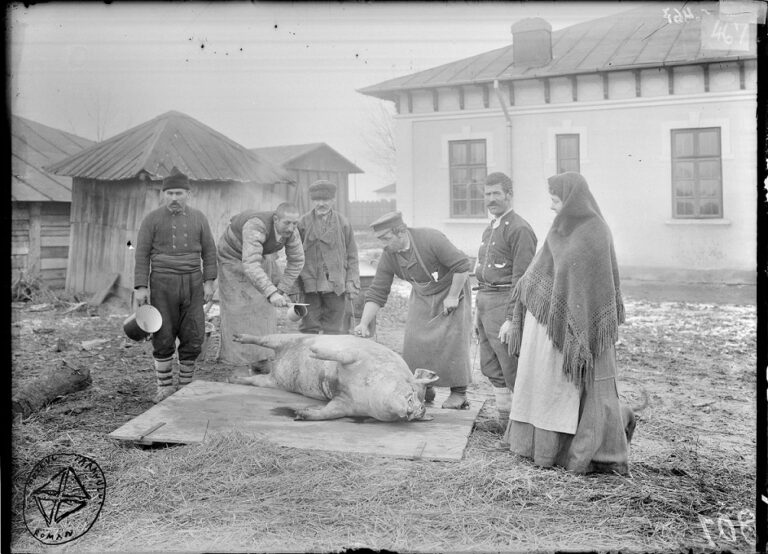 Sacrificarea porcului de Ignat. Tradiții și obiceiuri românești | R3media